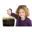 Learning Resources Jumbo Insects - Walmart.com