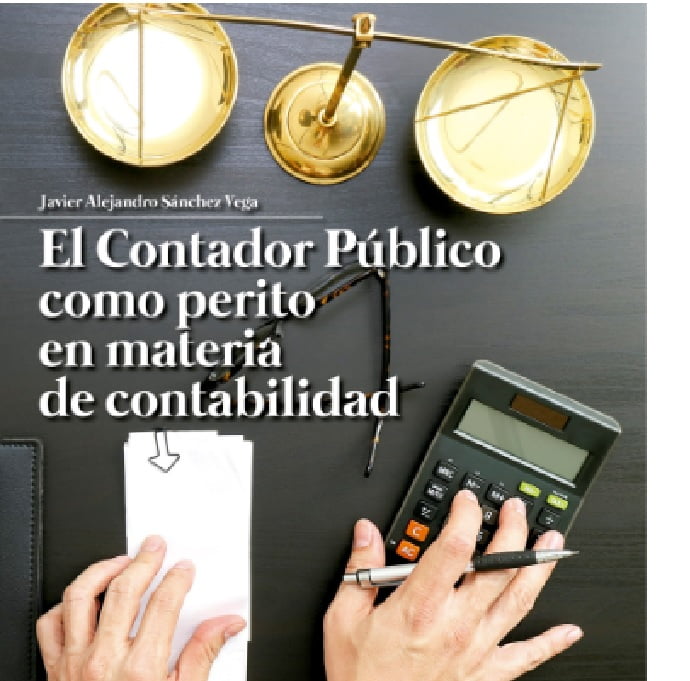 Contador Público como Perito en Materia de Contabilidad Instituto ...