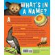 The Screaming Hairy Armadillo and 76 Other Animals with Weird, Wild Names (Paperback) - Walmart.com