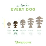 Benebone Fishbone Durable Dog Chew Toy for Aggressive Chewers, Real ...