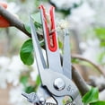 Fruit Tree Pear Scissors Efficient Thinning and Pruning Tool for ...