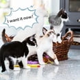 5 Pcs Cat Spring Balls Toys Stretchable Rolling Balls Colorful Playful ...