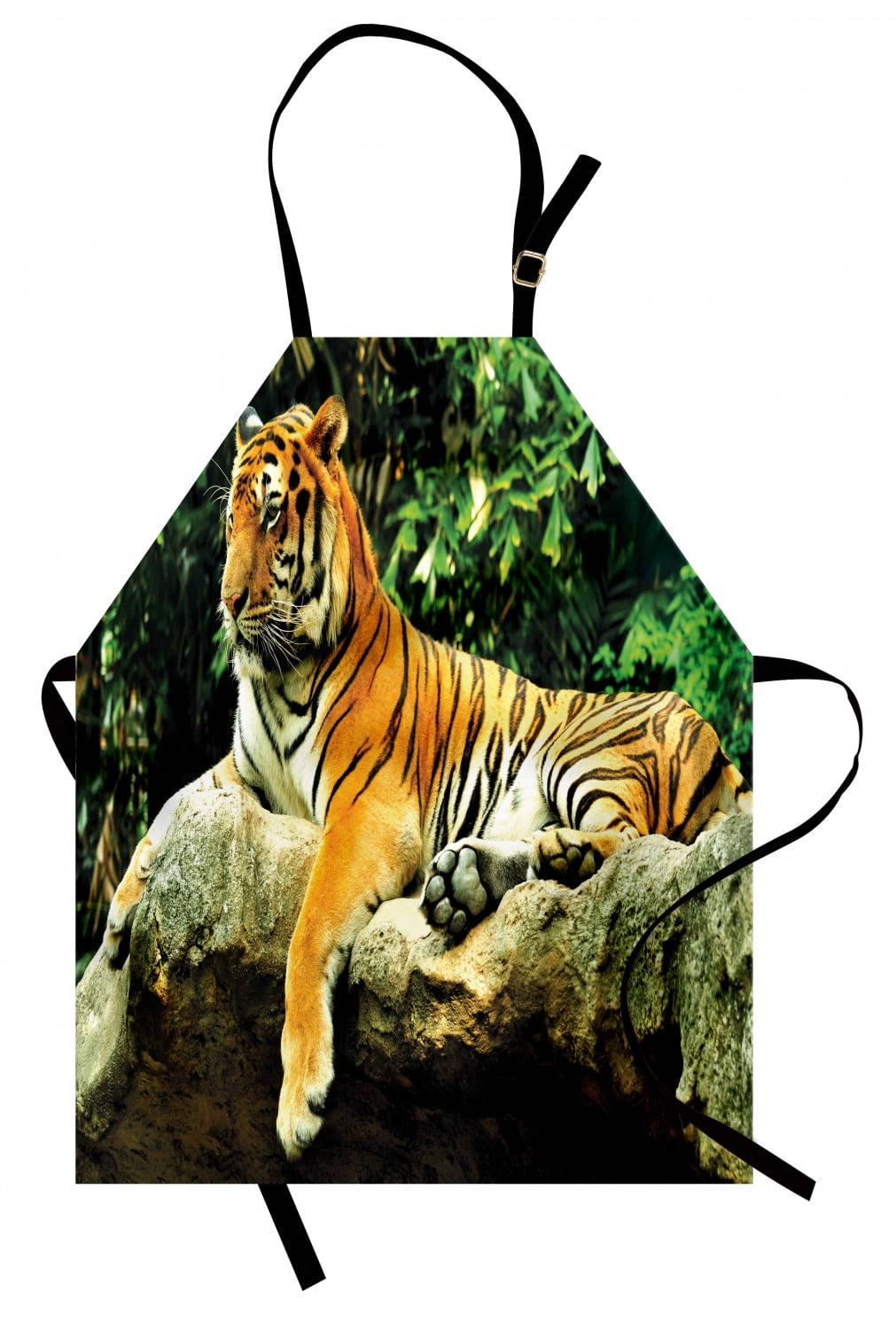 Tiger Apron Resting Feline in the Forest on a Large Rock Sublime ...