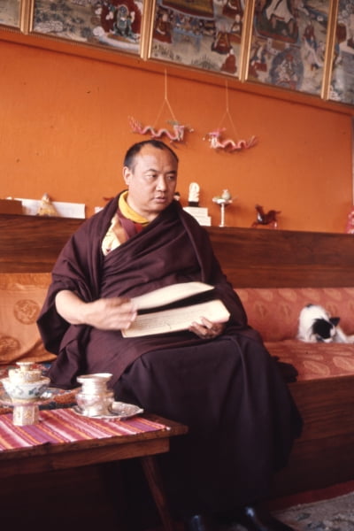 Print: Rangjung Rigpe Dorje, The 16th Karmapa Lama, Full-Length ...