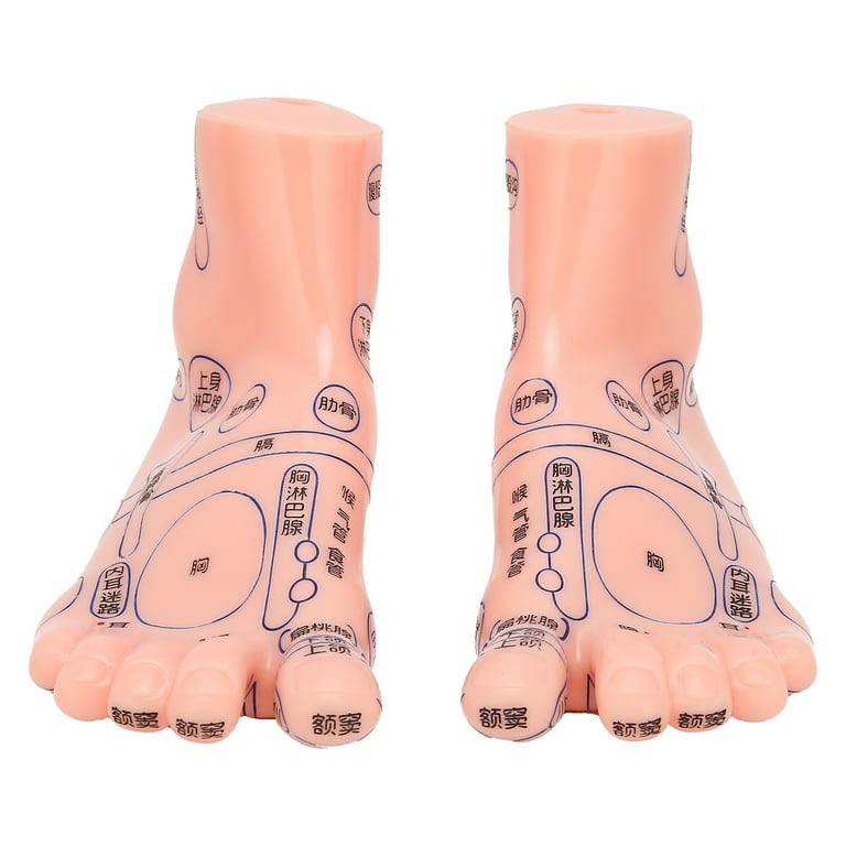 Acupuncture Points Top Of Foot | ppgbbe.intranet.biologia.ufrj.br