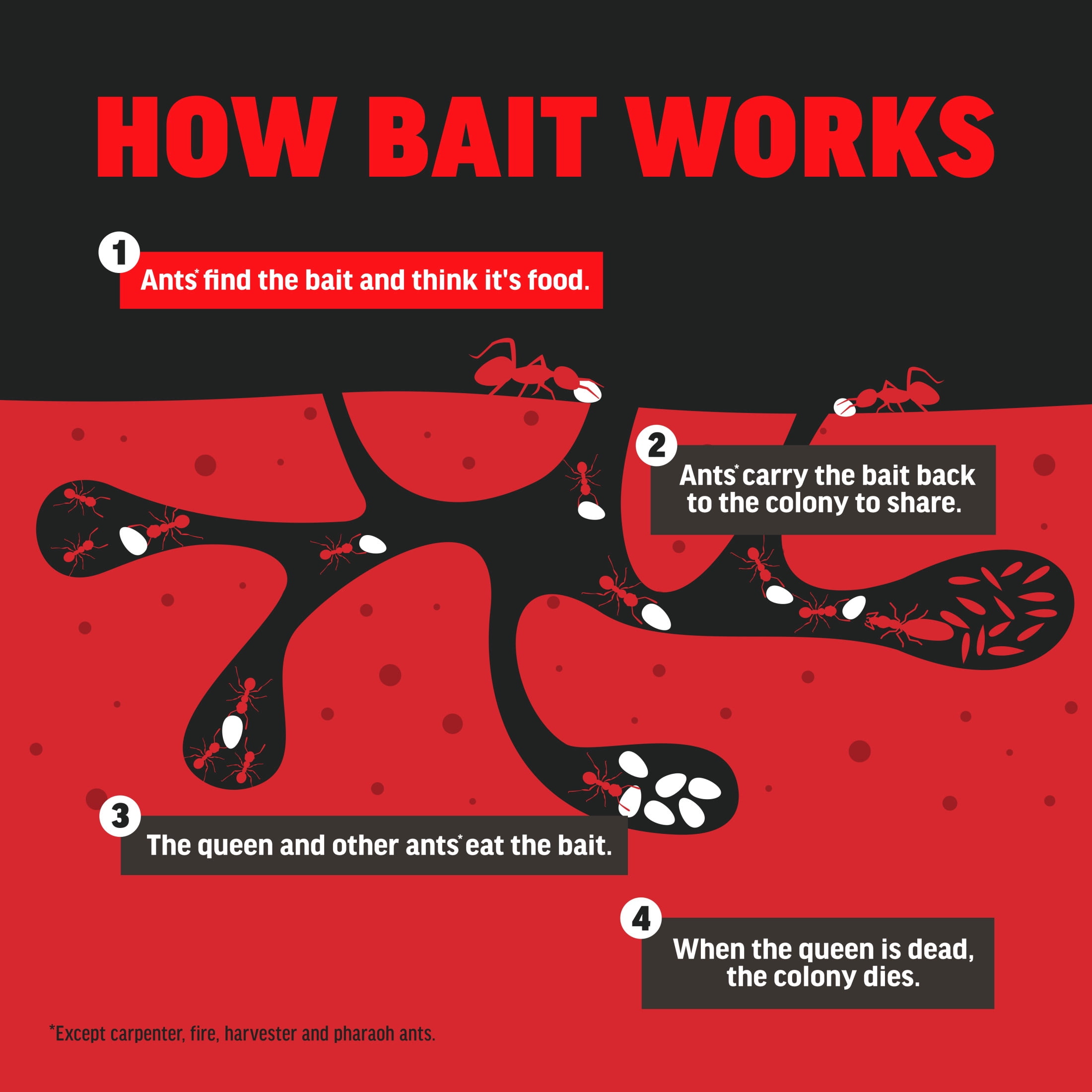 Amdro Ant Killer Indoor and Outdoor Bait Station Stakes, 8 Pack Best ...