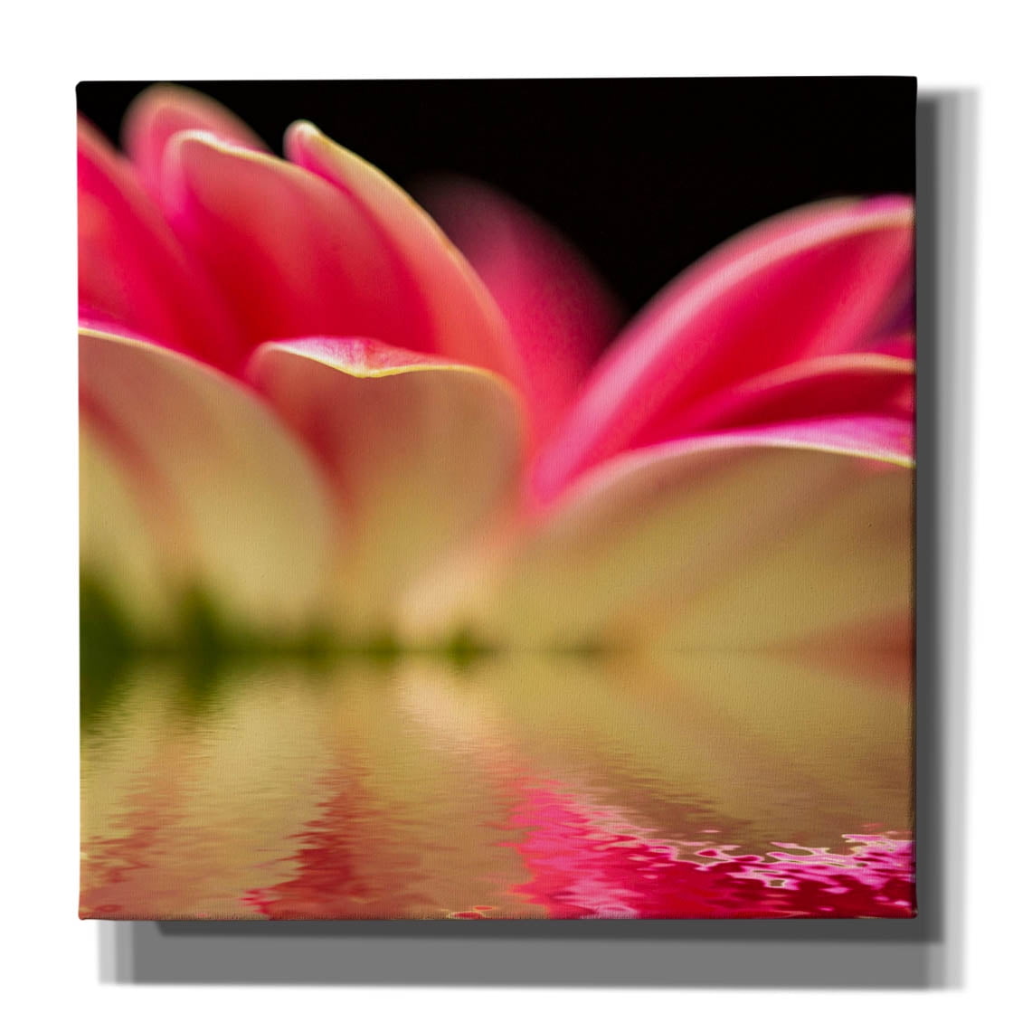 Epic Graffiti 'Gerbera Daisy Reflection' by Pamela Plummer, Canvas Wall ...