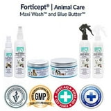 Forticept Blue Butter Antimicrobial Gel, Hot Spot and Wound Care, 4 oz ...