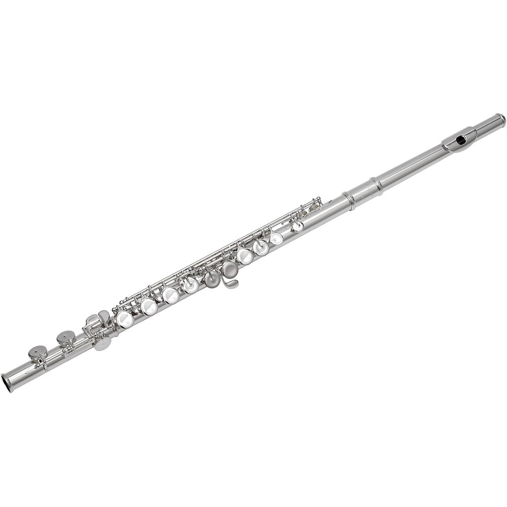 Pearl Flutes Belsona 200 Series Student Flute Offset G C-Foot - Walmart.com