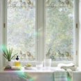Giraffe Elephant Window Privacy Film, Zebra Lion Soft Clouds Playful ...