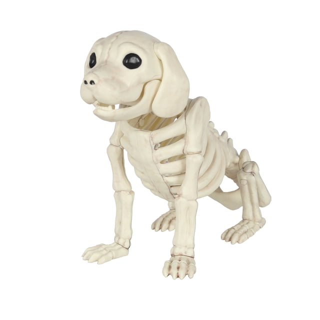 Dog Skeleton Halloween Decoration, Lightweight Spooky Animal Prop ...