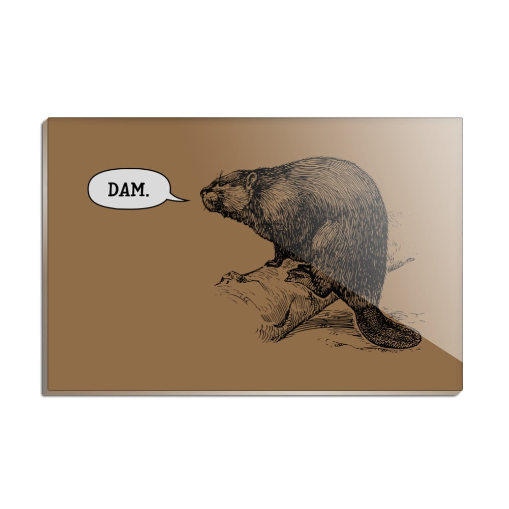 Beaver Vintage Dam Damn Rectangle Acrylic Fridge Refrigerator Magnet ...