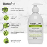 Phillip Adam Conditioner, Apple Cider Vinegar, 12 fl oz (355 ml ...