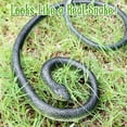 Rubber Snakes Realistic Keep Birds Away Rubber 47 IN 2 Pack - Visual ...