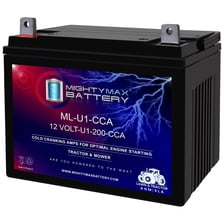 CUB CADET 725P17136 Battery AGM 7AHR CC 30 H Hydro Mini Rider - Walmart.com