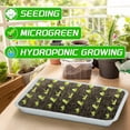 6 Pack Seed Starter Tray 13.78x 10.24x 1.38Inch Plant rmination Trays ...