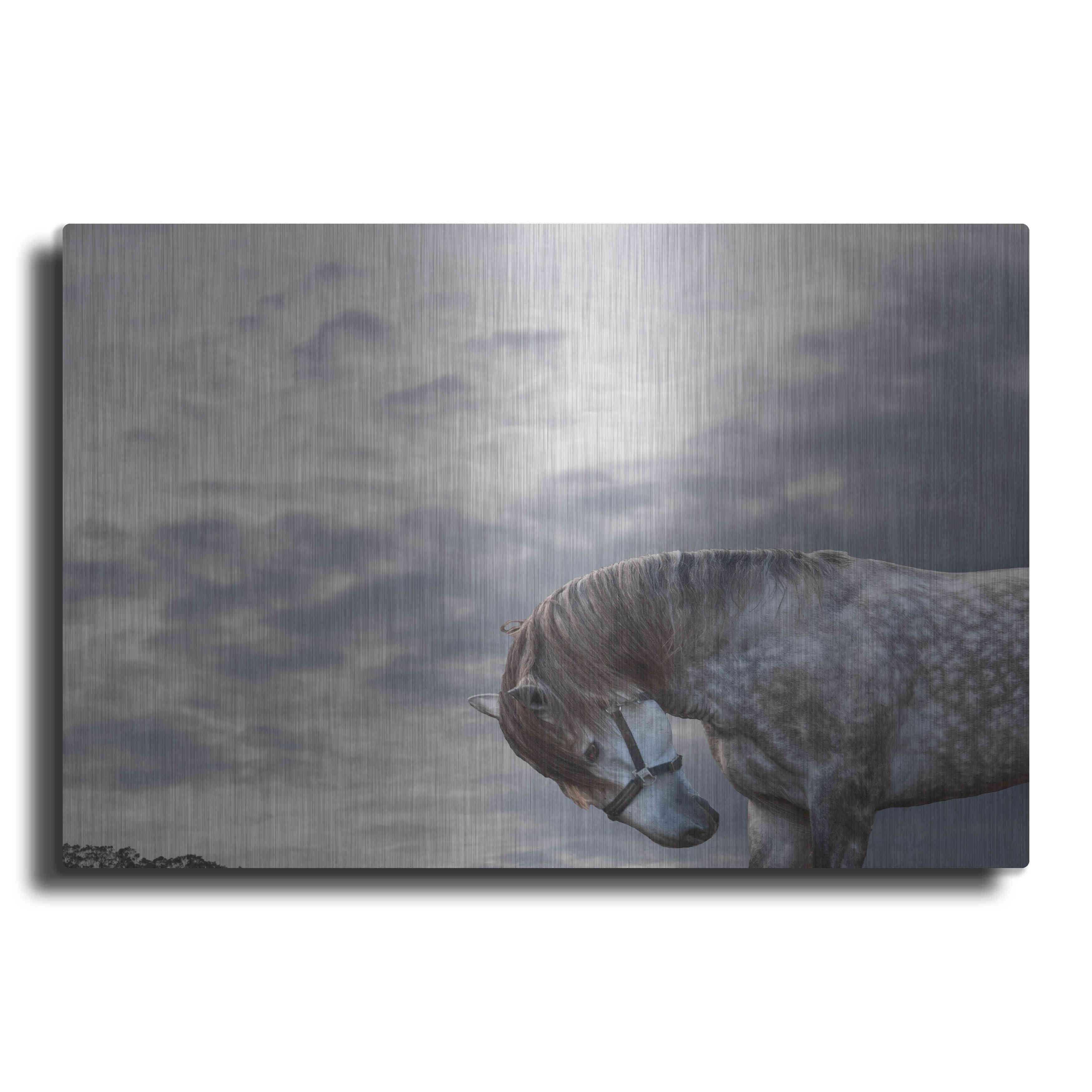 Luxe Metal Art 'Vito' by Susan Friedman, Metal Wall Art, 36"x24 ...