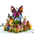 3D Birthday Cards Greeting Card Envelopes with Colorful Butterfly and ...