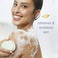 Dove Skin Care Beauty Bar For Softer Skin Cucumber And Green Tea More