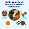 Solid Gold Bone Broth Meal Topper for Dogs, Grain-Free, Beef Flavor, 8 ...