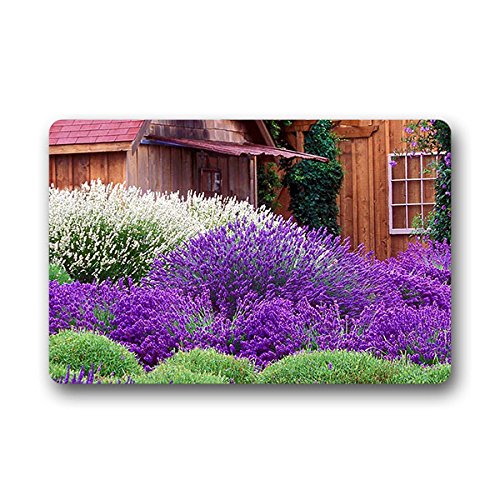 CADecor lavender Doormat Indoor Outdoor Floor Rug 23.6x15.7 inches ...