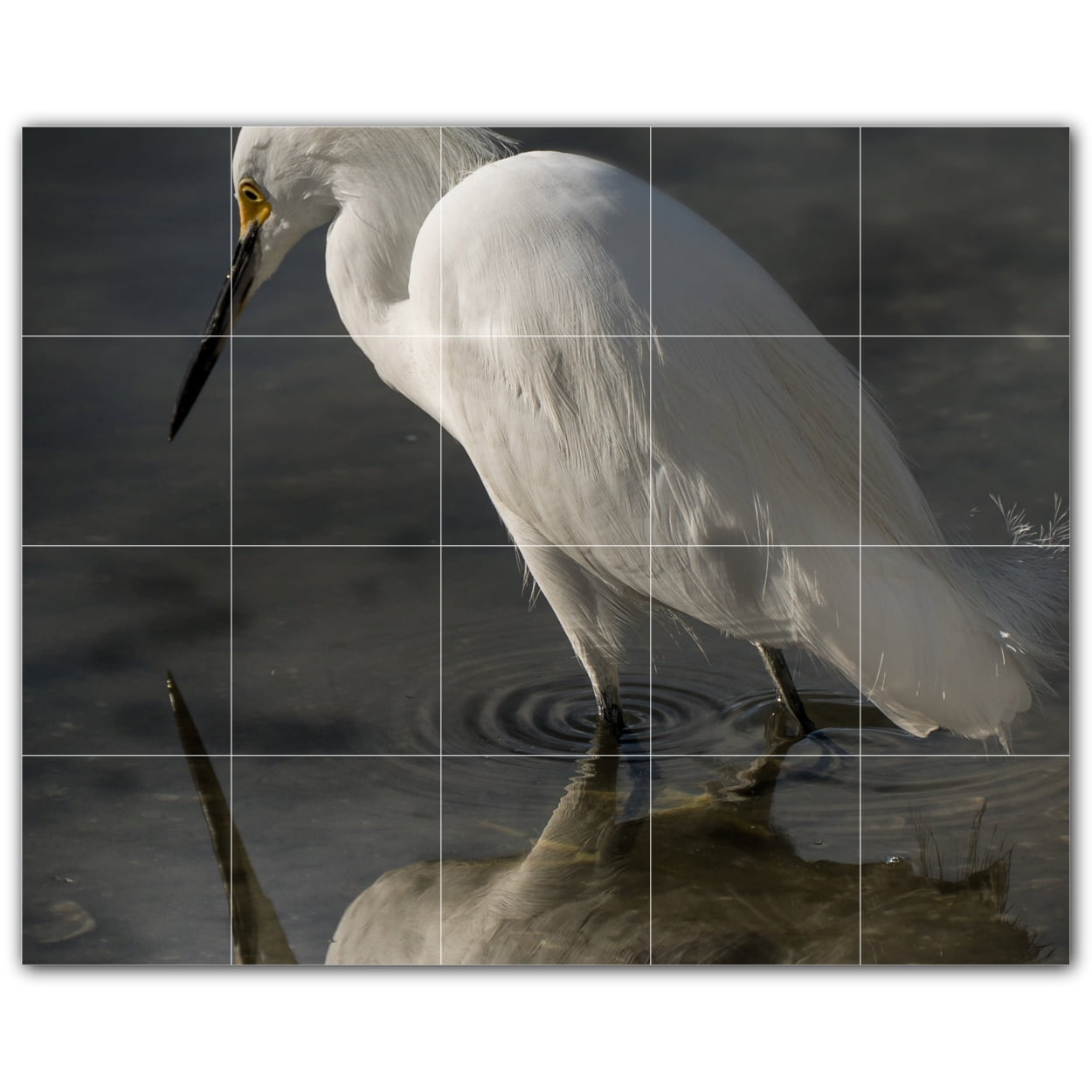 Picture-Tiles.com: Bird Ceramic Tile Wall Mural WAL500162-54XL. 60"W x ...