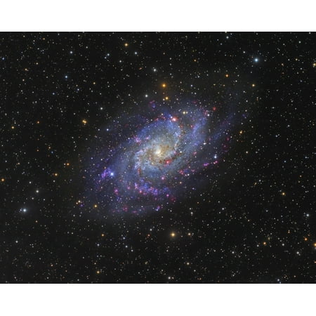 The Triangulum Galaxy in the constellation Triangulum Poster Print (30 x 24) | Walmart Canada