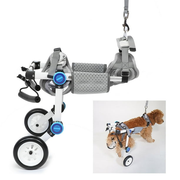 Pet Wheelchair, Doggie Exercise Wheels, Lightweight Foldable Cat ...