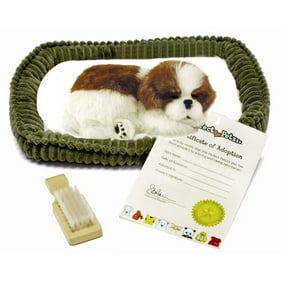 Perfect Petzzz - Walmart.com