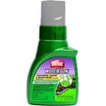 Ortho 0396415 16 oz Bottle of Weed B Gon Chickweed Clover Oxalis Lawn ...