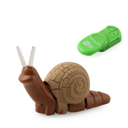RC Animal Insects Realistic Remote Control Snail Vehicle Car Electric ...