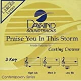 Daywind Soundtracks: Praise You in the Storm (Audiobook) - Walmart.com