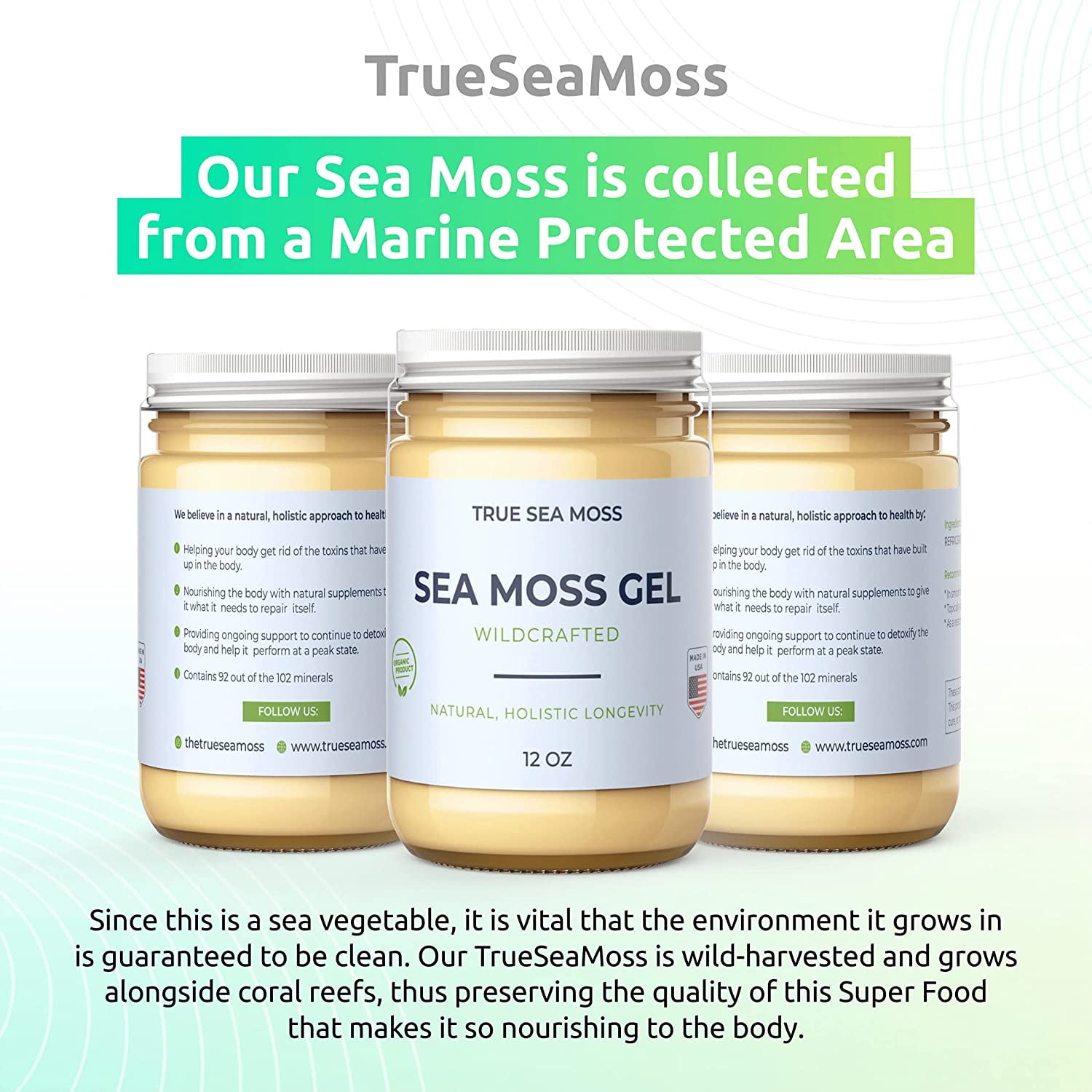Buy TrueSeaMoss Wildcrafted Irish Sea Moss Gel – Nutritious Organic Raw Seamoss Rich in Minerals ...