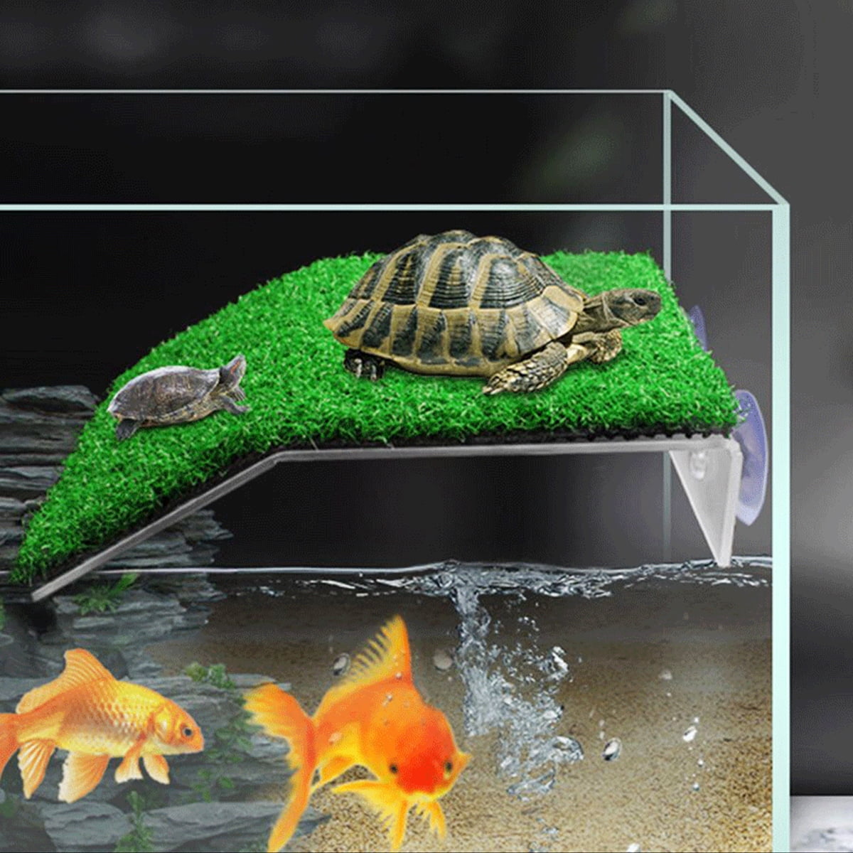 Buy Lieonvis Turtle Basking Platform with Simulation Turf Turtle ...