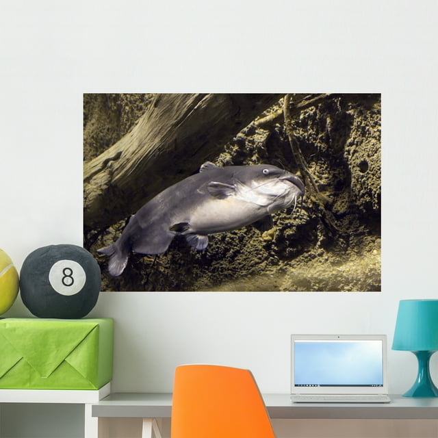 Blue Catfish Wall Mural by Wallmonkeys Peel and Stick Graphic (36 in W ...