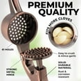 Garlic Press Set - Rust Proof Professional Garlic Mincer Tool - Easy ...