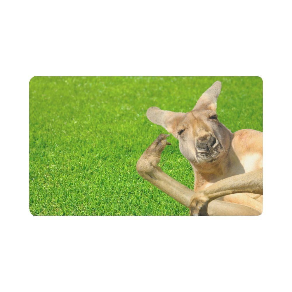 MKHERT Funny Lazy Kangaroo Enjoying The Sunshine Doormat Rug Home Decor ...