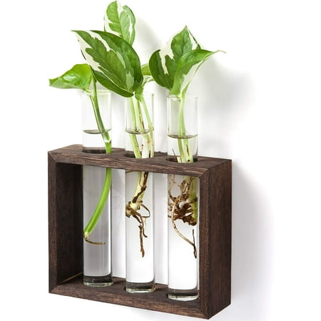 Wall-mounted glass flower pot, plant glass pot, modern flower bud vase ...
