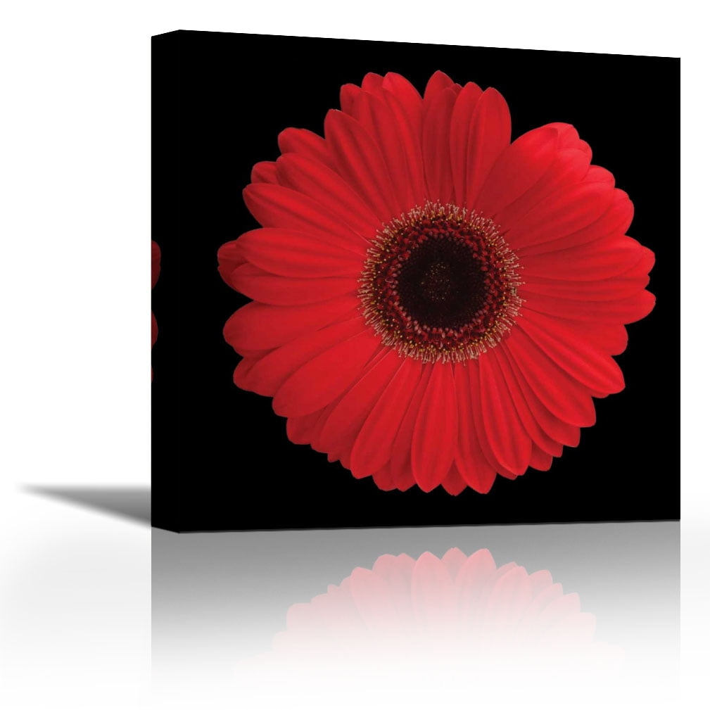 Gerbera Daisy Red - Contemporary Fine Art Giclee on Canvas Gallery Wrap ...