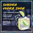 SVEDKA Vodka, 1.75 L Bottle, 40% ABV - Walmart.com