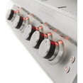 Blaze LTE Premium 5 Burner Grill Package w/ Cover, 40" Access Door LP ...