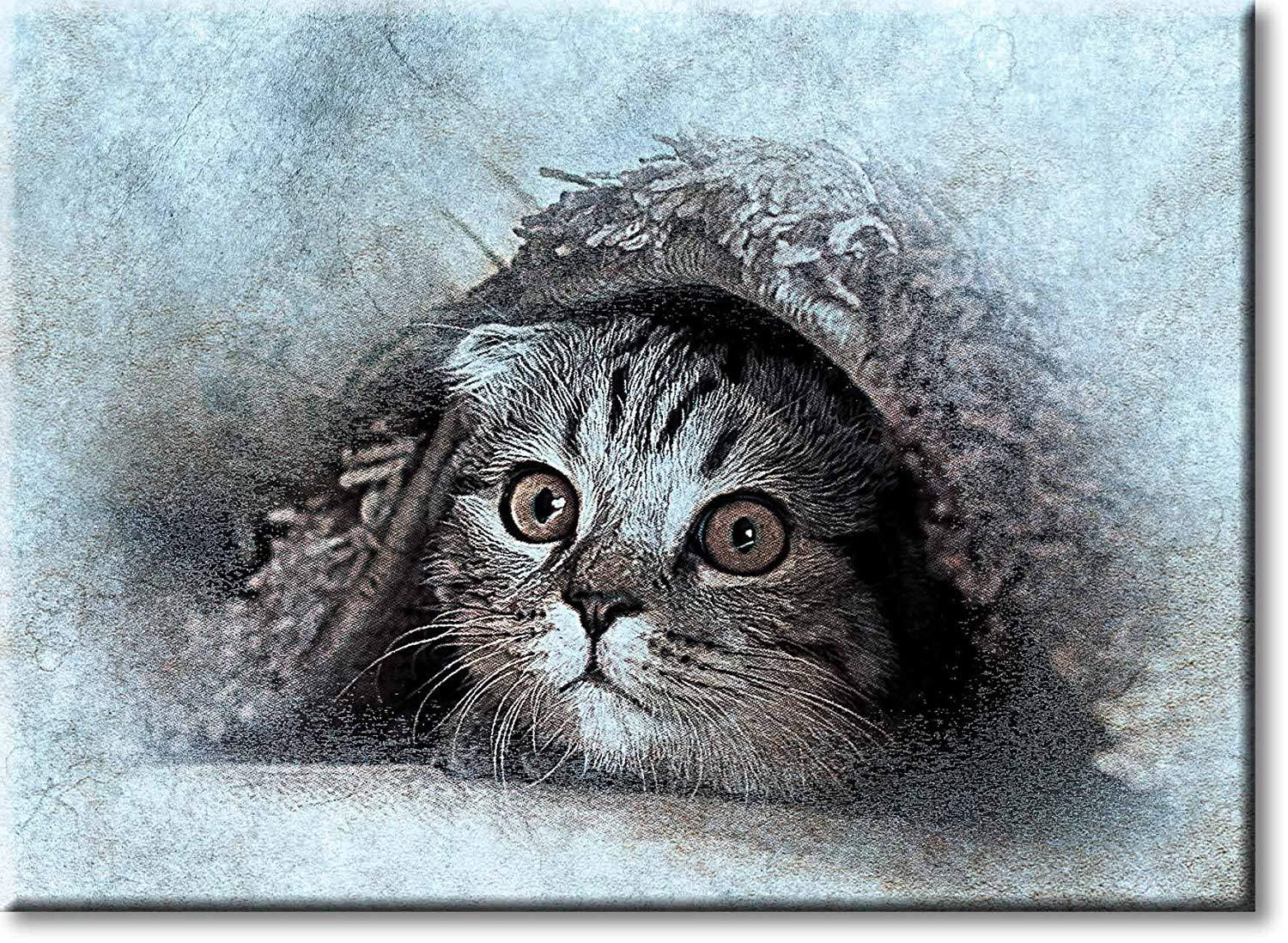 Cat Under the Rug Picture on Stretched Canvas, Wall Art Décor, Ready to ...
