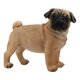Ebros Large Realistic Fawn Pug Dog Statue 12"L Fine Pedigree Dog Breed ...