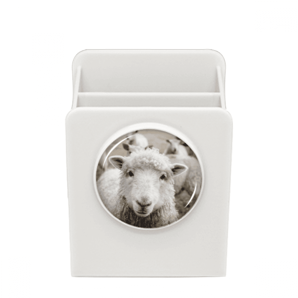 m Sheep Animal Picture Desk Pencil Holder Cup Pen Organizer - Walmart.com