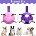 Durable Puppy Soccer Ball Toy with Hand Pump - Interactive Dog Ball for ...