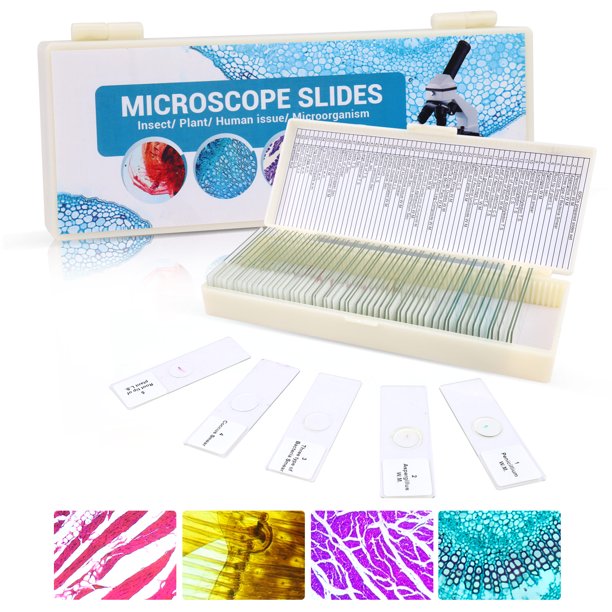 LAKWAR 60 Pcs Prepared Microscope Slides for Kids Students Biology ...