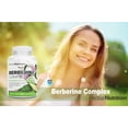 Berberine Complex 1250mg, Herbal Nutrition with HCL, Bitter Melon ...