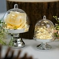 Balsa Circle 12 Silver Clear 3" Mini Cake Stands Dome Favor Holders ...