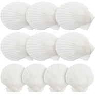 Coco Midrib Sea Shell Pack: Natural, 6 inches - Walmart.com