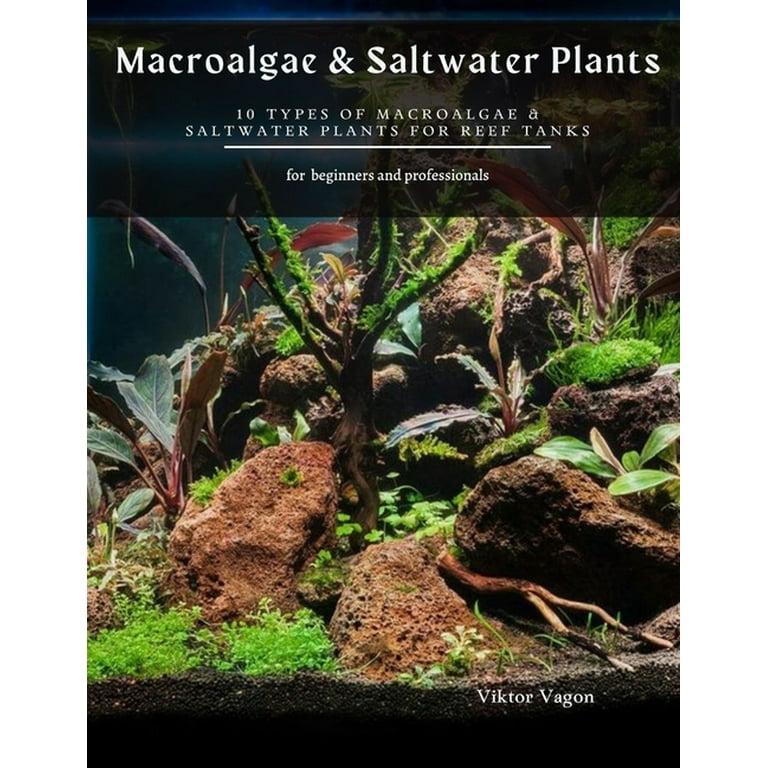 Types Saltwater Plants